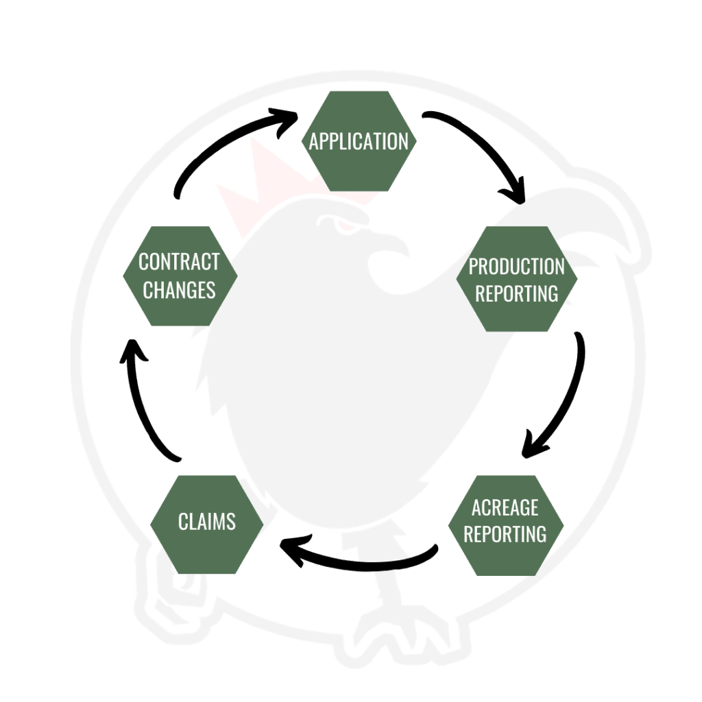 What is Federal Crop Insurance - Rooster Ag’ Inc.